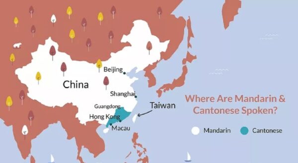 The Truth About Yat Chinese Food and Its Health Benefits