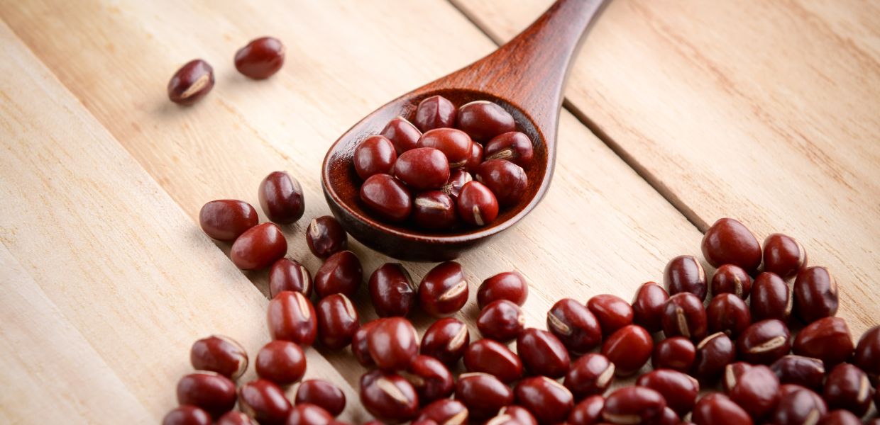 The Top 12 Mung Bean Substitutes That Will Amaze You