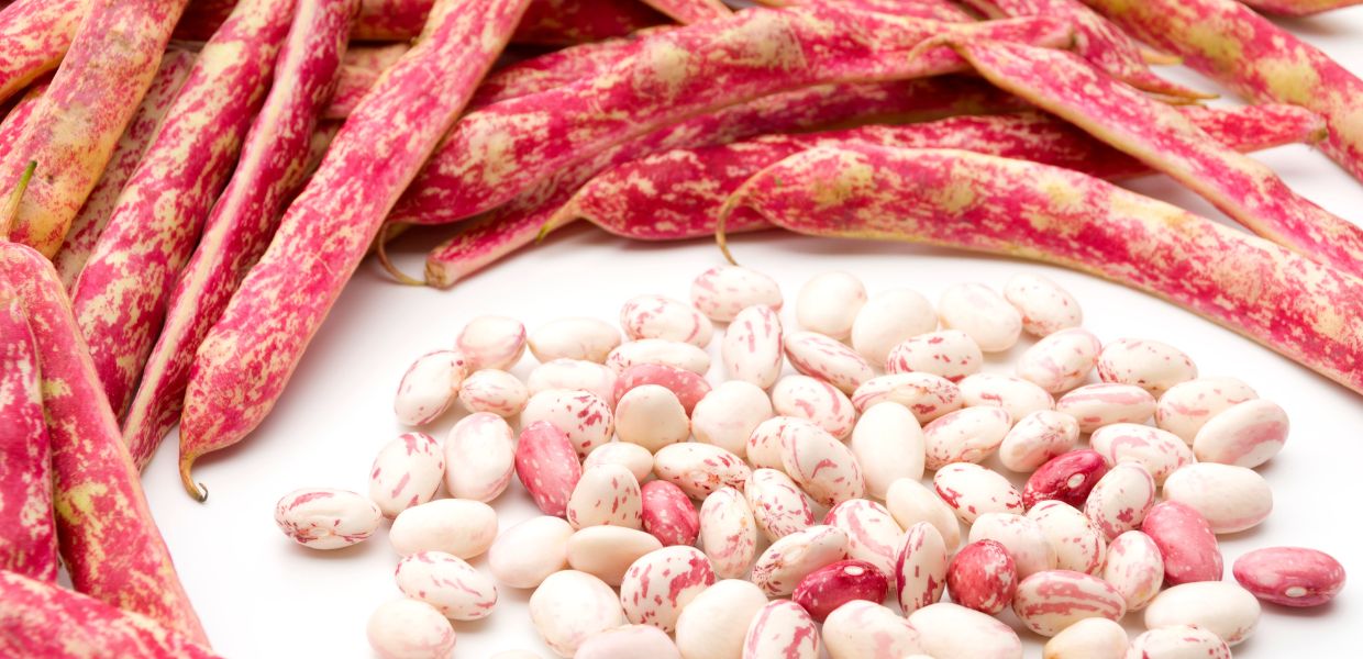 The Top 12 Mung Bean Substitutes That Will Amaze You