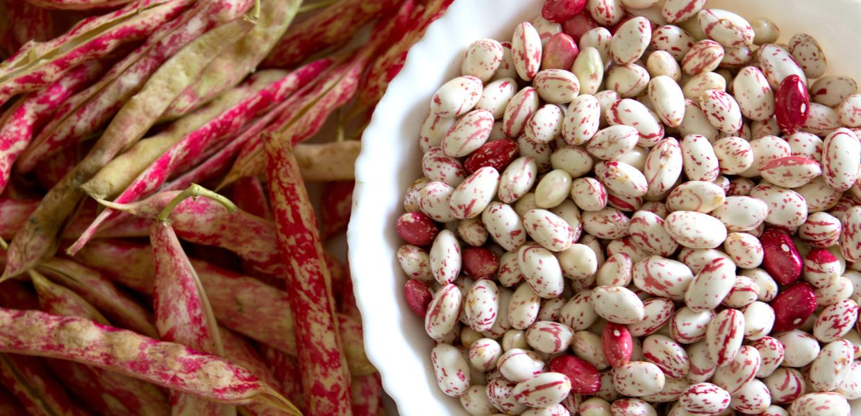 The Best Adzuki Beans Substitute For Cooking