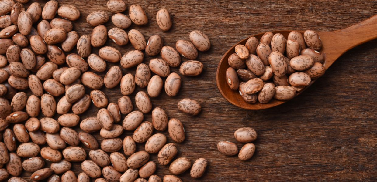The Best Adzuki Beans Substitute For Cooking