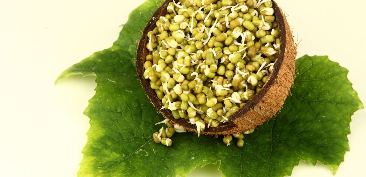 The Top 12 Mung Bean Substitutes That Will Amaze You