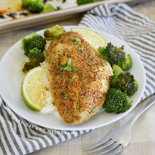 25 Minutes Toaster Oven Chicken Breast - (Scratch to Serve)