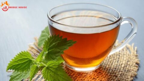 Easy Costa Rican Tea Recipe For Weight Loss - BHT